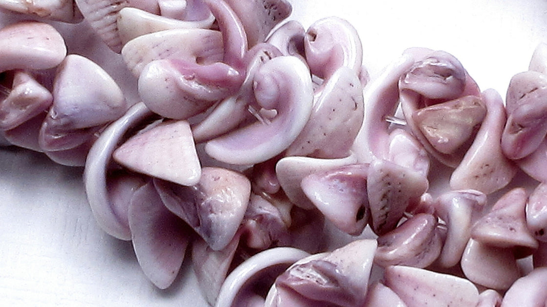 Cebu Beauty Shell Beads | Beads and Honey